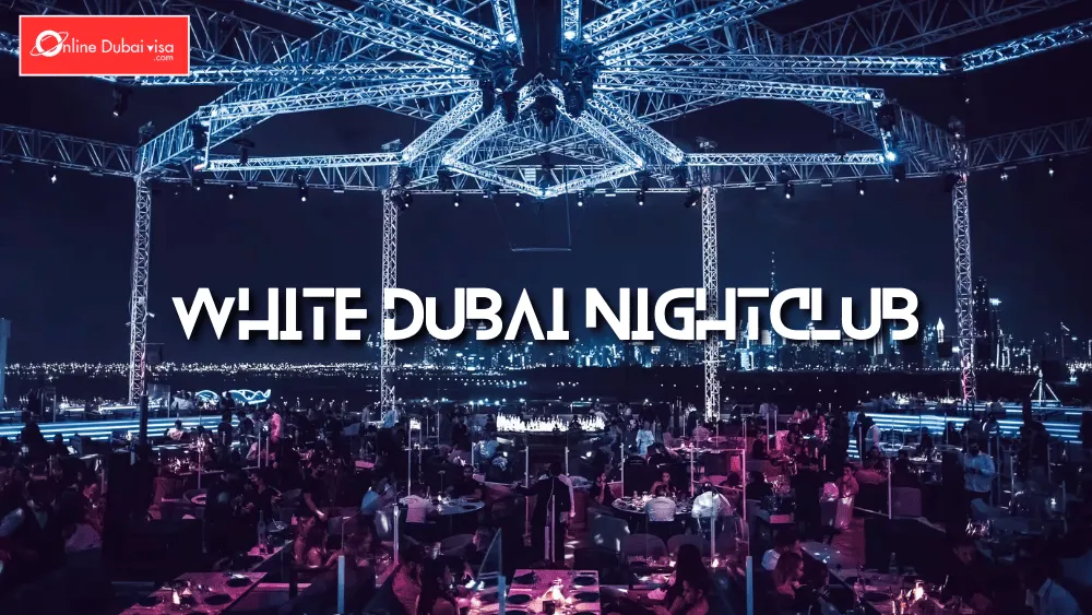 Top 13 Perfect Nightclubs in Dubai | Amazing Nightlife Experience In 2025