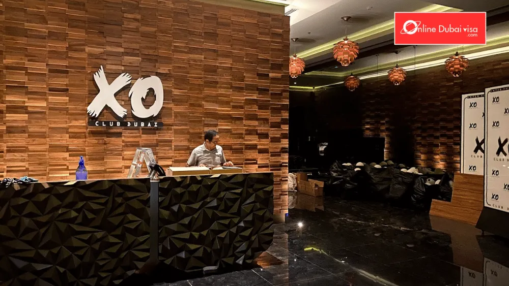 Top 13 Perfect Nightclubs in Dubai | Amazing Nightlife Experience In 2025